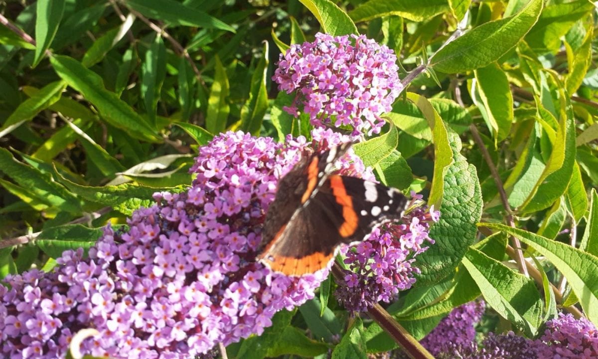 Index of /app/uploads/2021/04