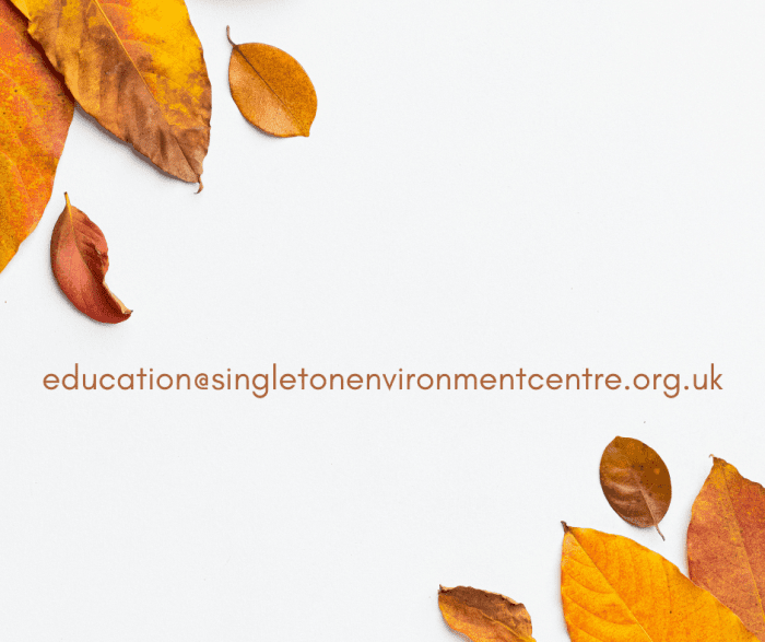 Explore | Singleton Environment Centre