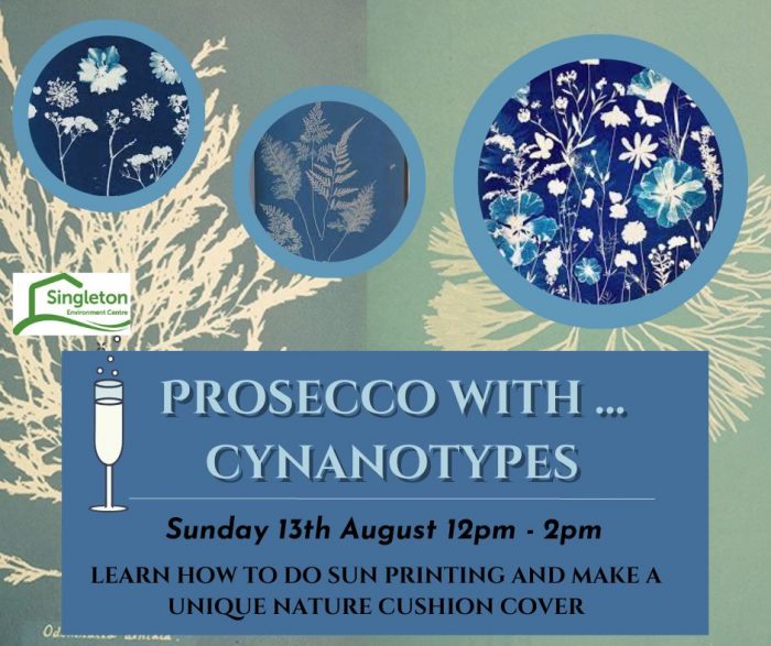 Events | Singleton Environment Centre